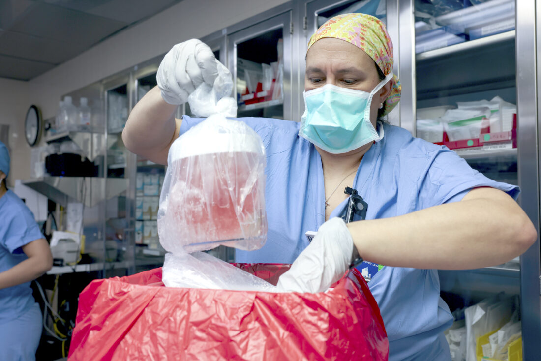 Surgeons transplant pig kidney into patient | News, Sports, Jobs ...
